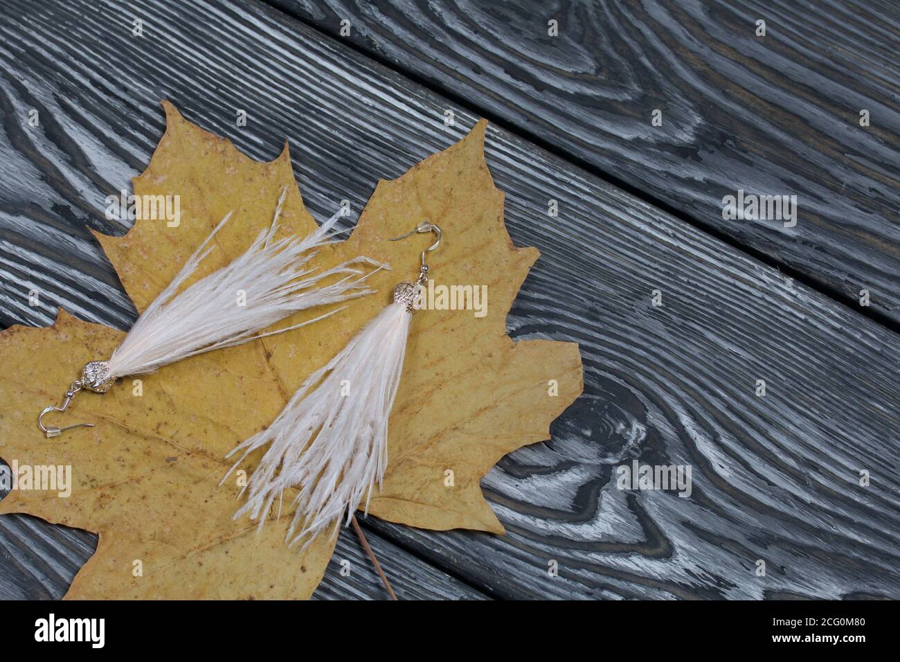 Ostrich feather tassels. Nearby are dried maple leaves. They lie on ...