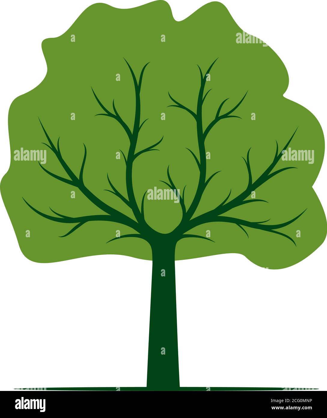 Shape of Tree with green eaves. Vector outline Illustration. Plant in ...