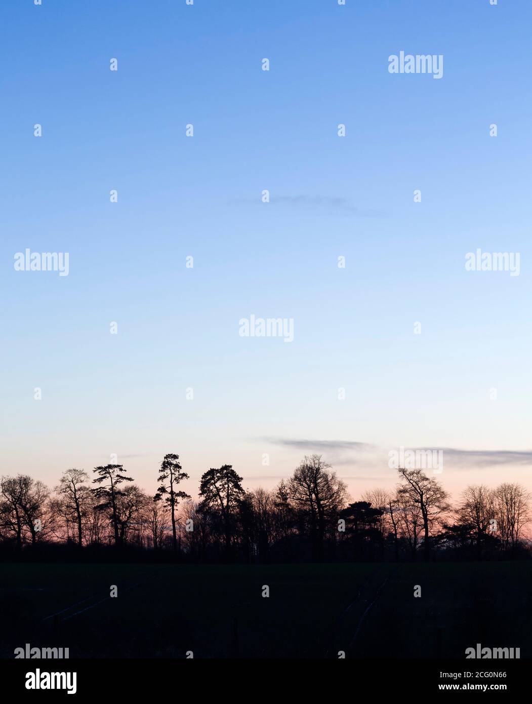 English forest sunset hi-res stock photography and images - Alamy