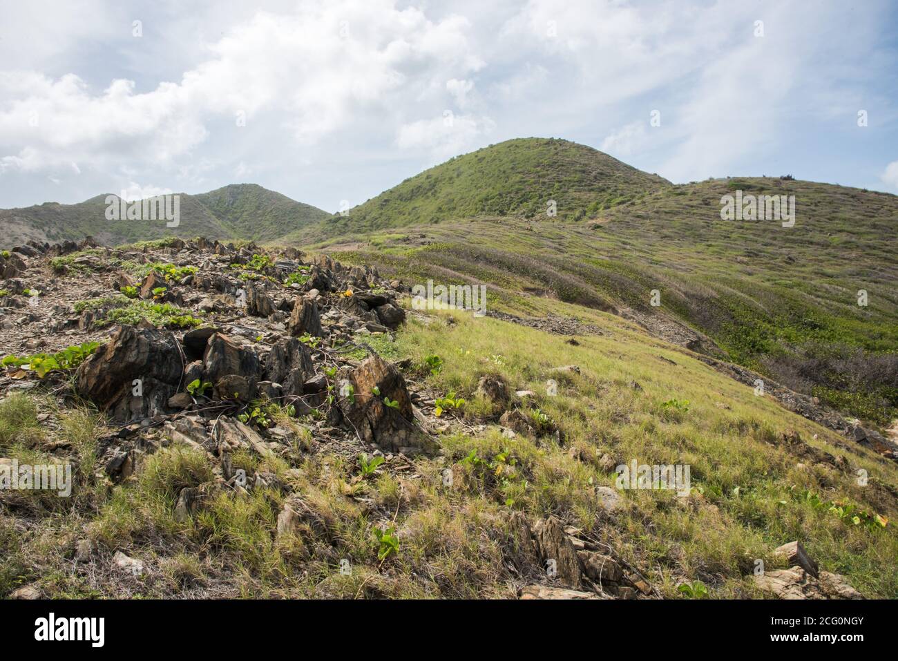 Remote rolling landscape with native flora under a cloudy sky on St ...