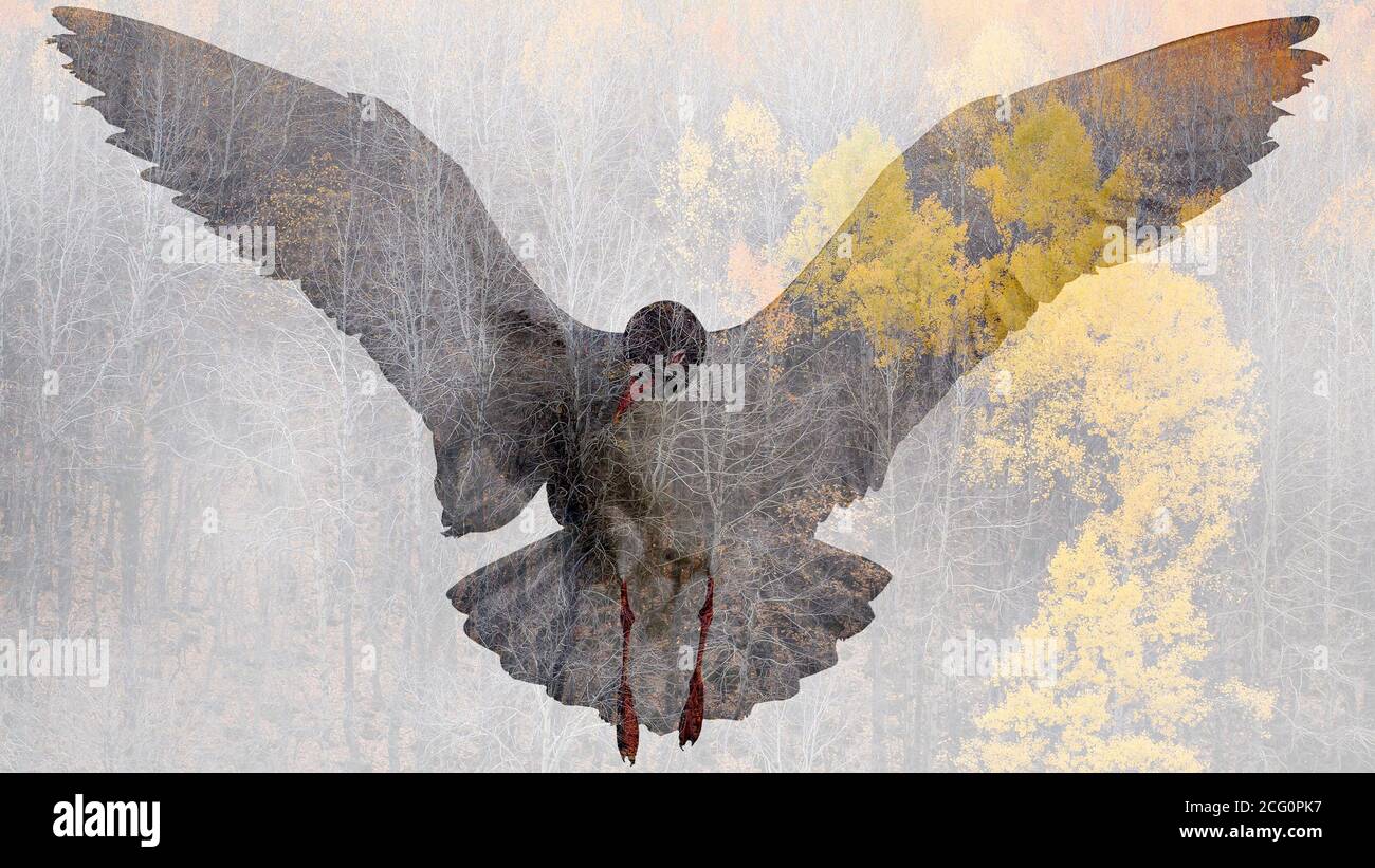 Creative abstract nature. Double exposure Stock Photo - Alamy