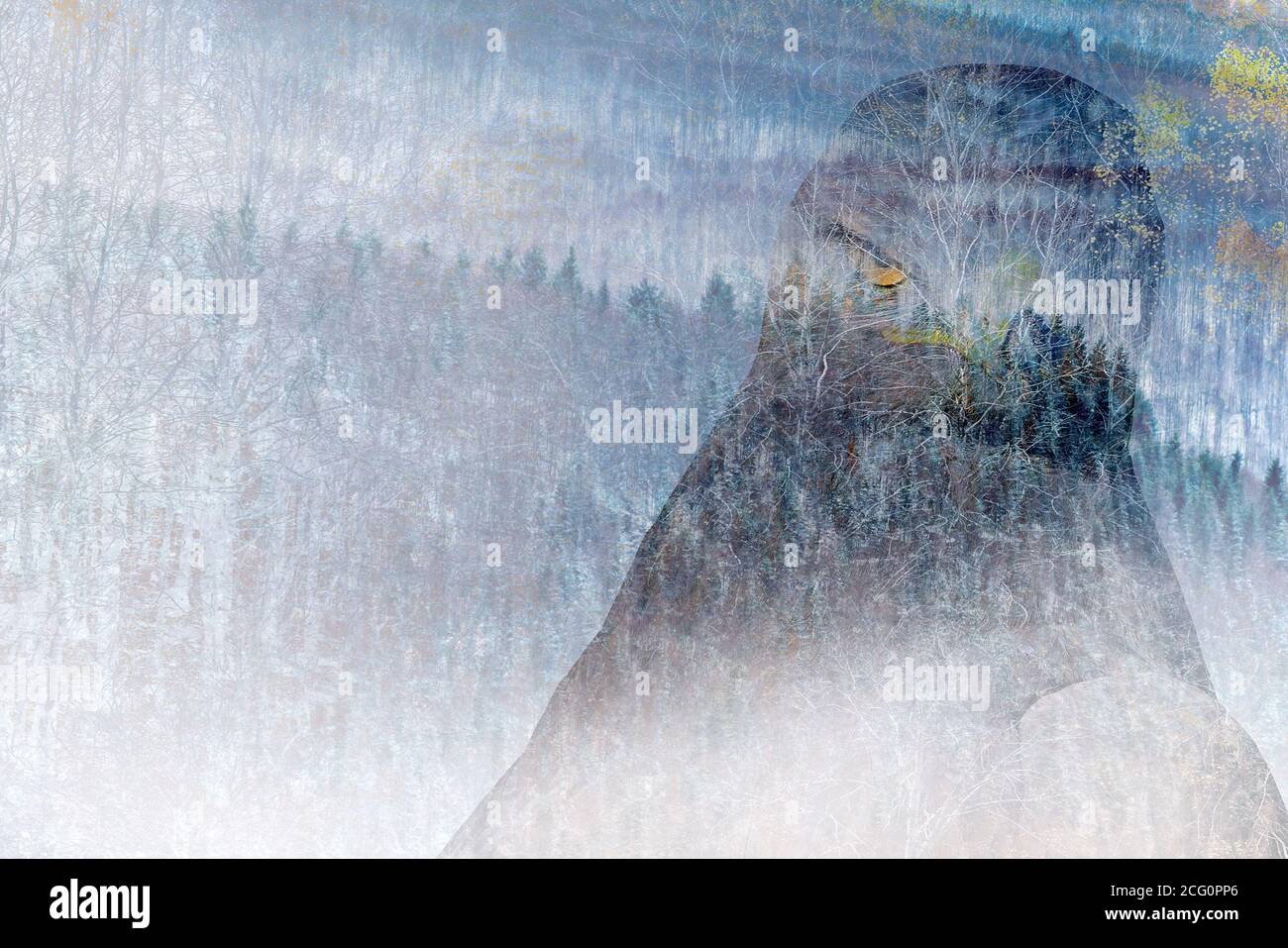 Creative abstract nature. Double exposure Stock Photo - Alamy