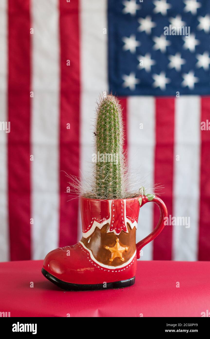 Cactus usa flag hi-res stock photography and images - Alamy