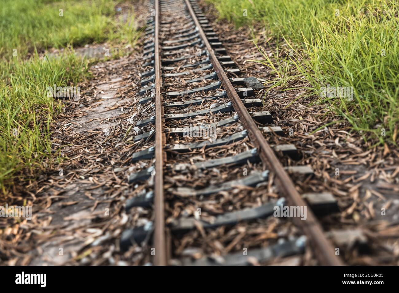 Old miniature train tracks at sunset Stock Photo - Alamy