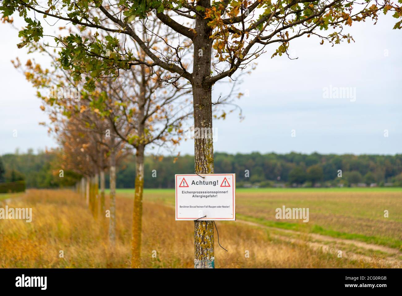 Oak processionary moth warning sign hi-res stock photography and images ...