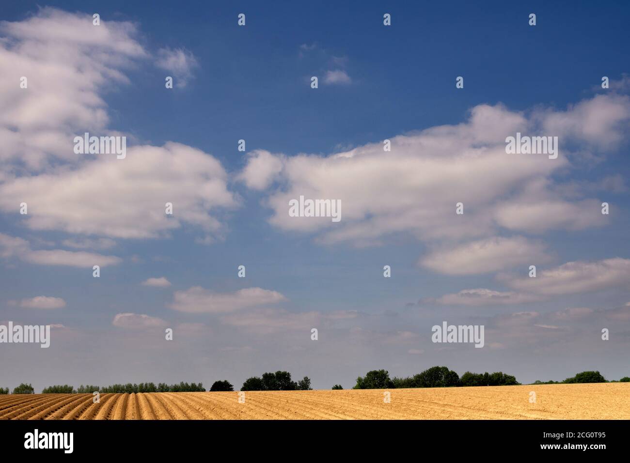 Dry field near Eys Stock Photo - Alamy