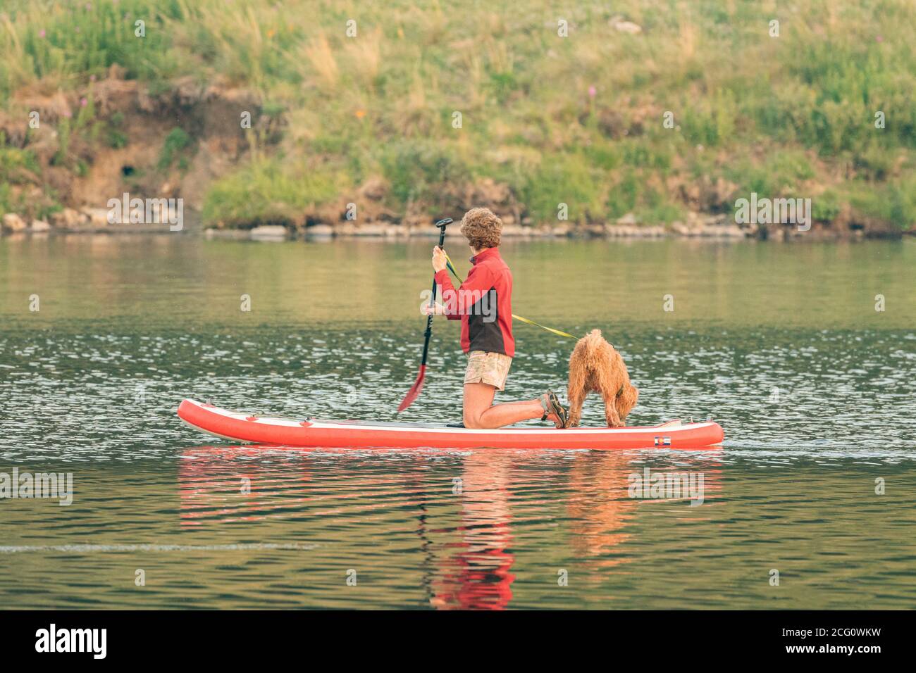 Fish pond paradise hi-res stock photography and images - Alamy