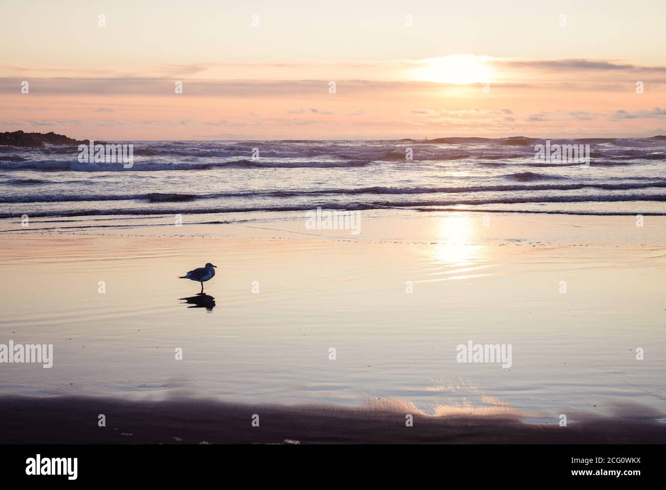 Light reflection on beach hi-res stock photography and images - Alamy