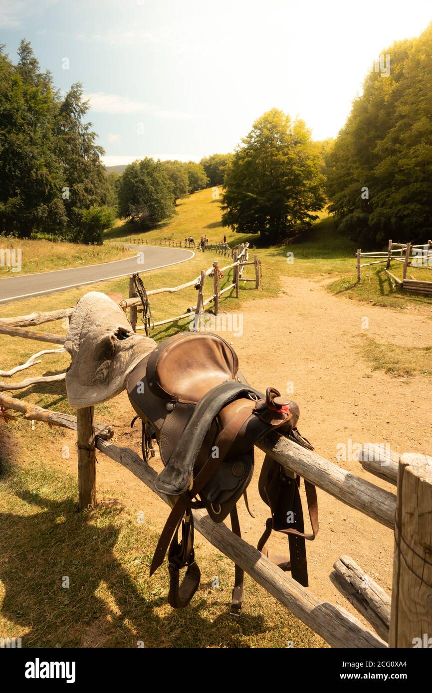 Horse saddle riding equipment on training camp farm fence green trees ...