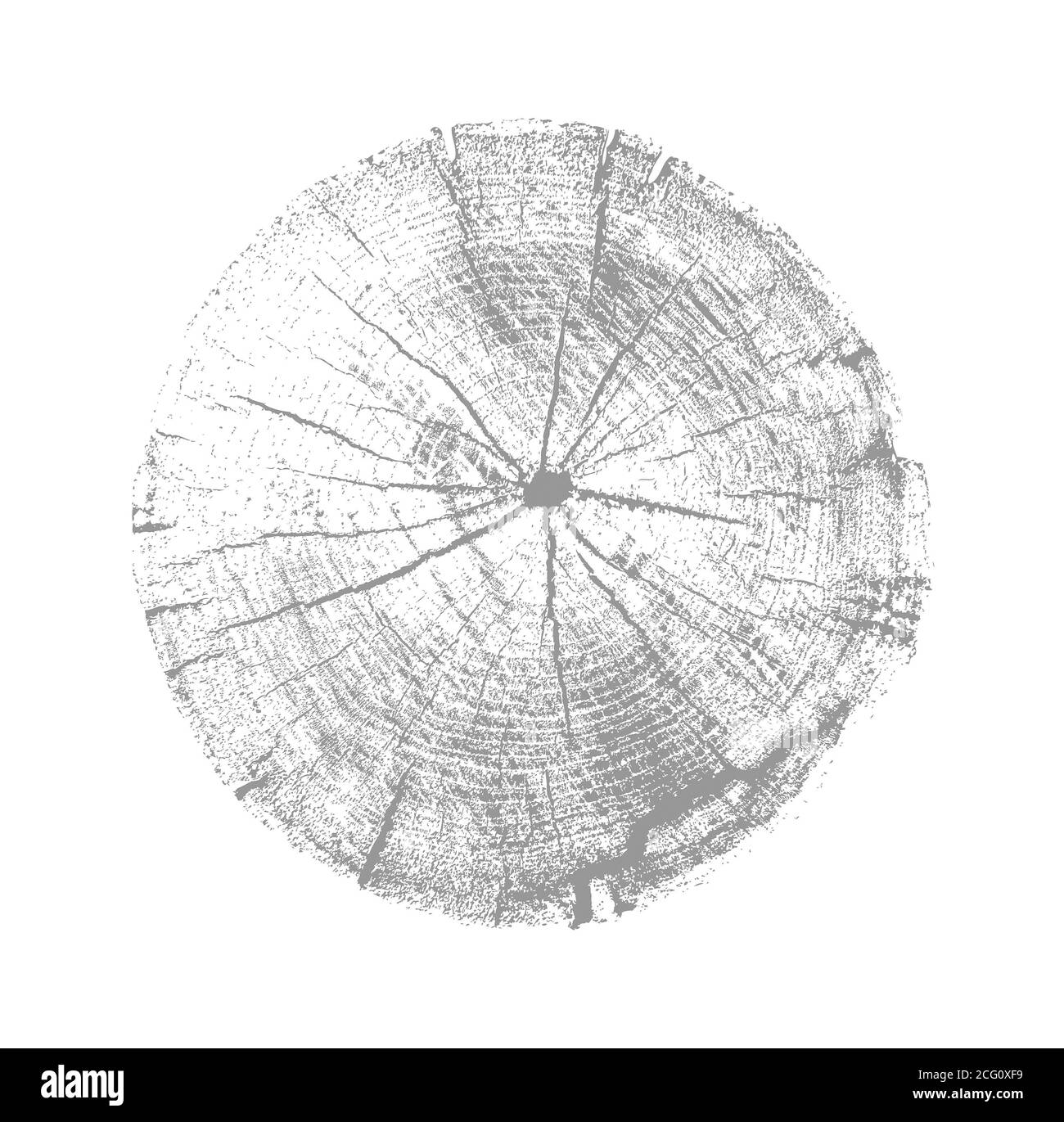 Large piece of round wood with growth rings on a white background ...