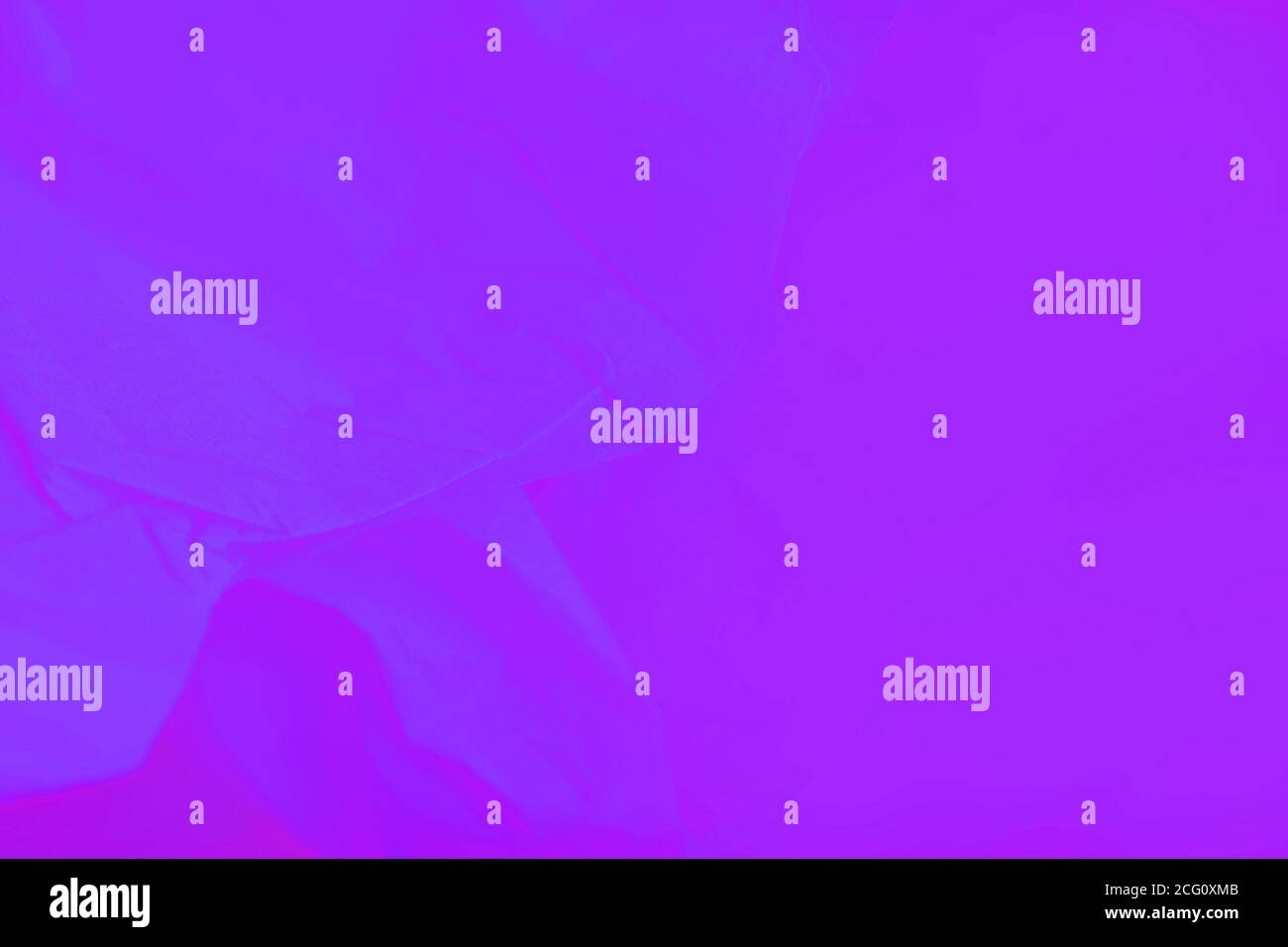 Fuchsia colors hi-res stock photography and images - Alamy