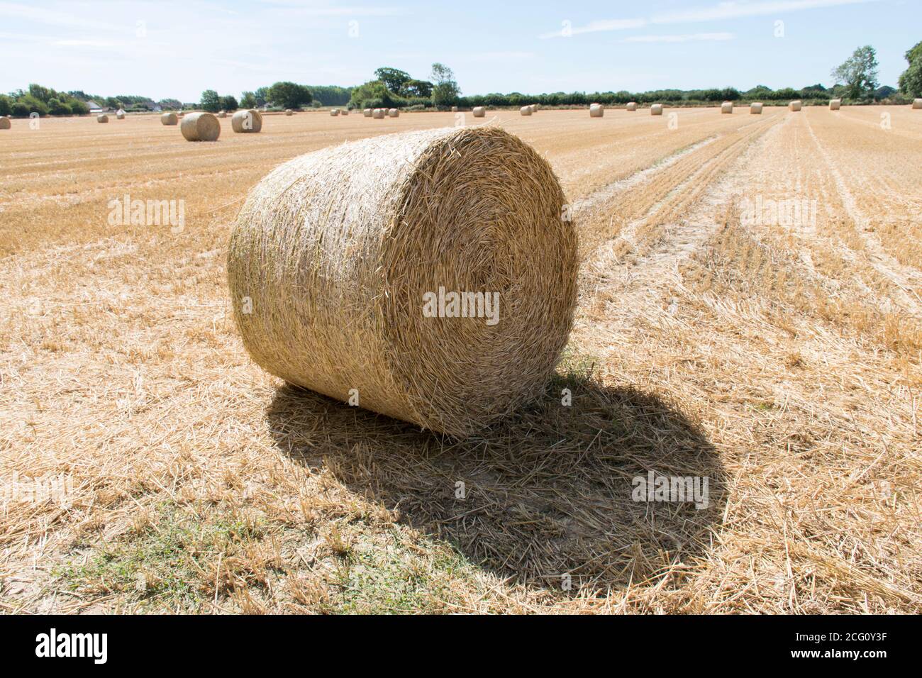 Baling straw rolls in the English countryside Stock Photo - Alamy