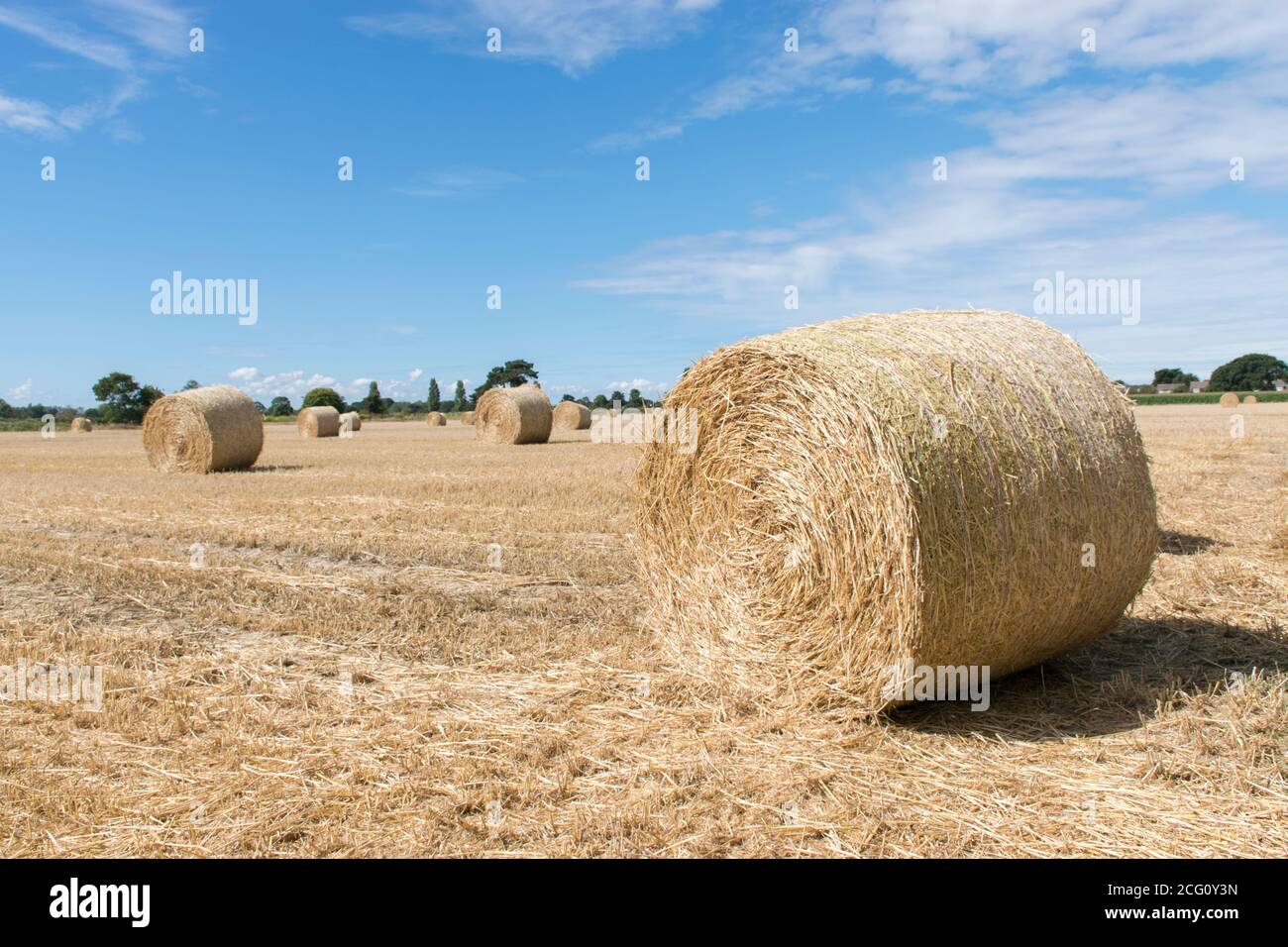 Baling straw rolls in the English countryside Stock Photo - Alamy