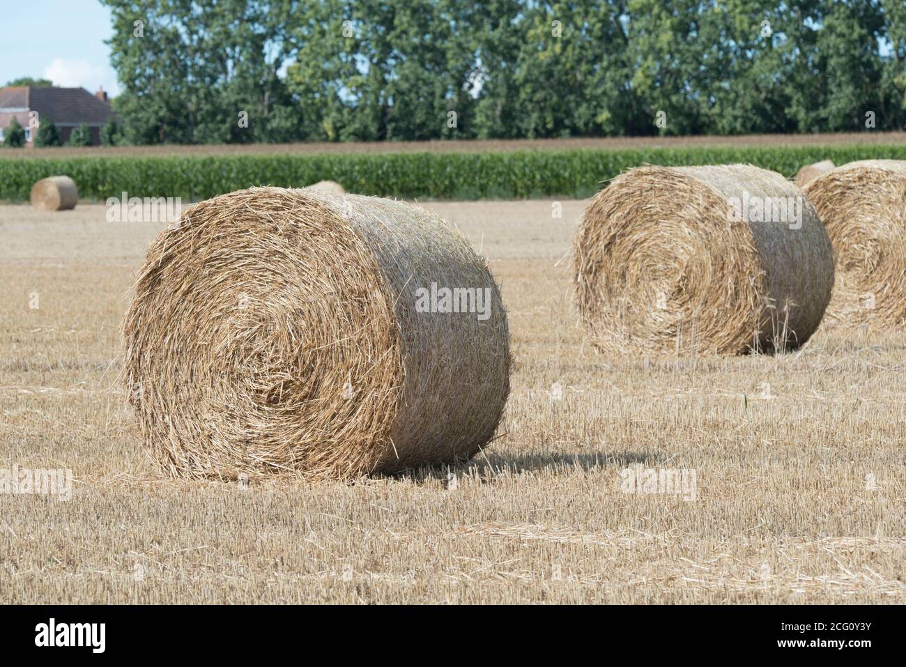 Baling straw rolls in the English countryside Stock Photo - Alamy