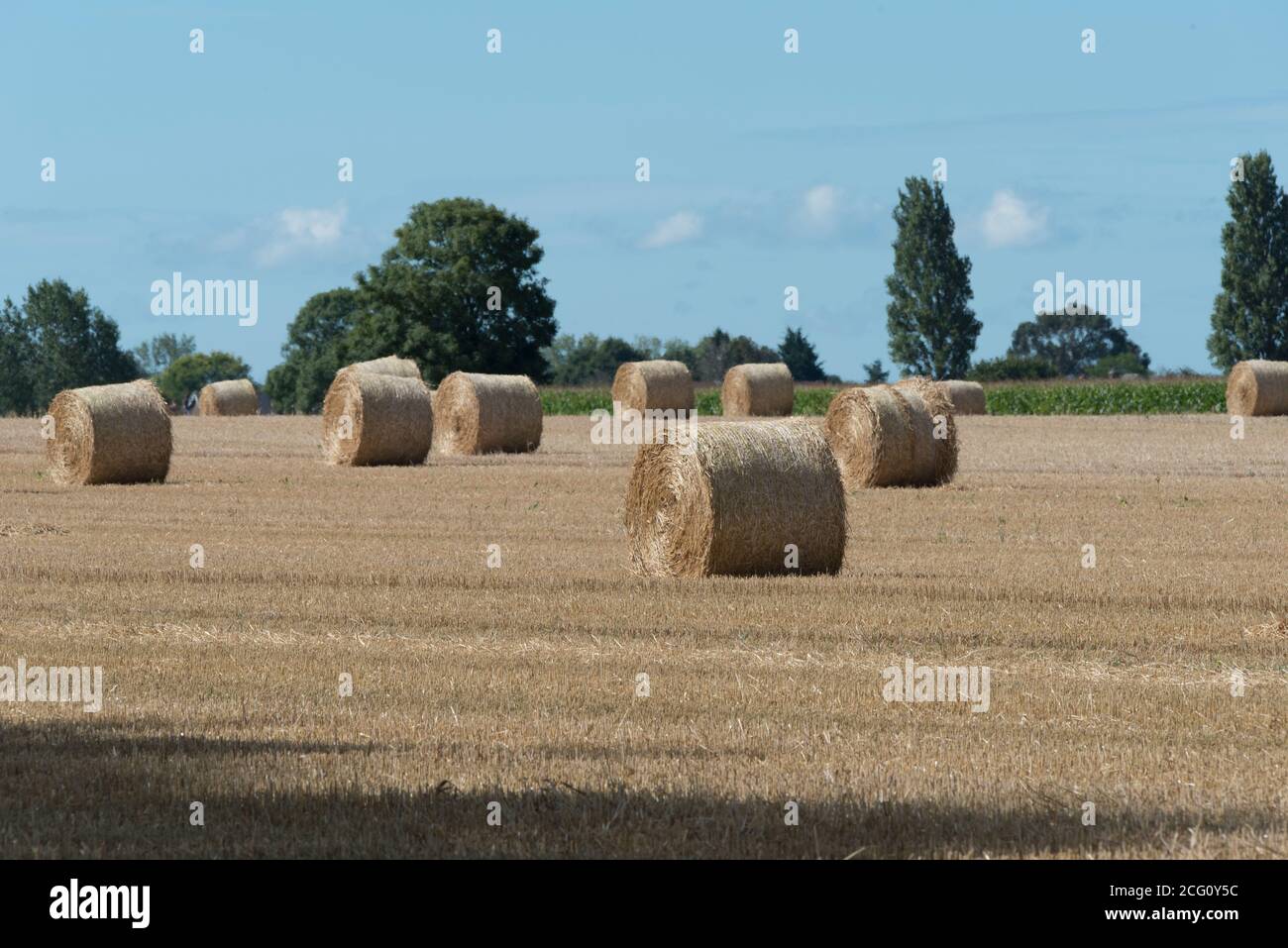 Baling straw rolls in the English countryside Stock Photo - Alamy