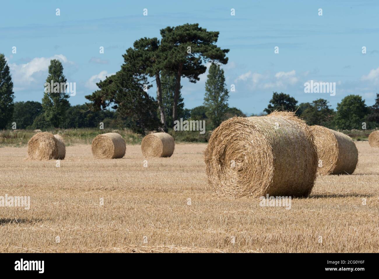Baling straw rolls in the English countryside Stock Photo - Alamy