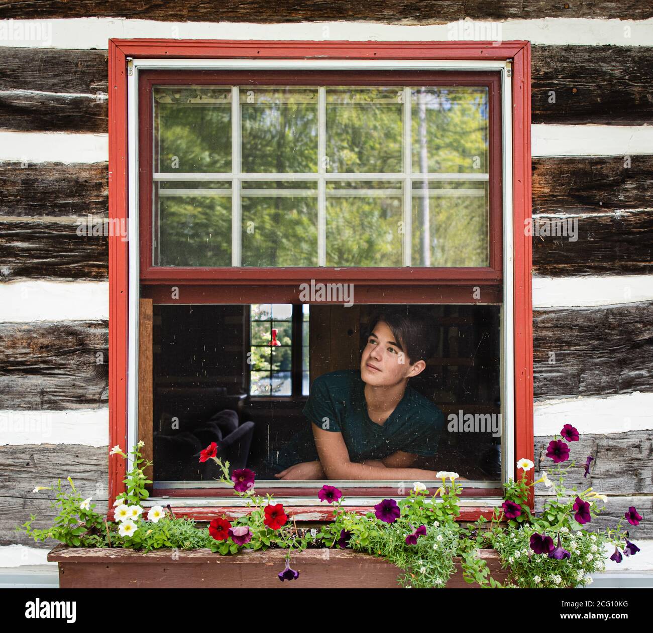 Teen boy looking out through window of rustic log cabin on summer day ...