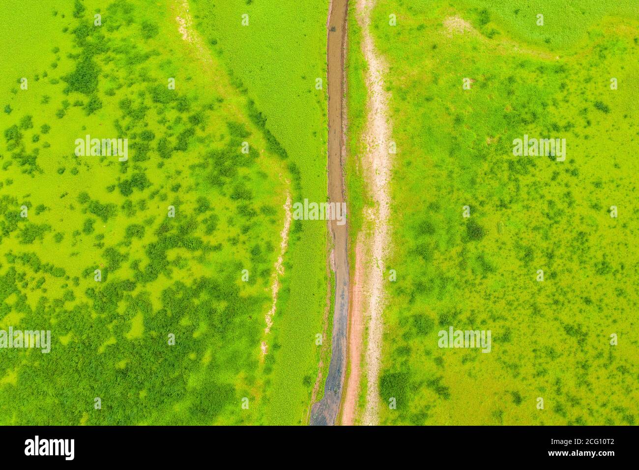 a stream flows through a green grassy landscape from above Stock Photo ...