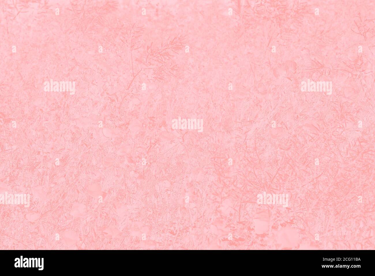 Floral patchy background, pale pink color, pastel Stock Photo - Alamy