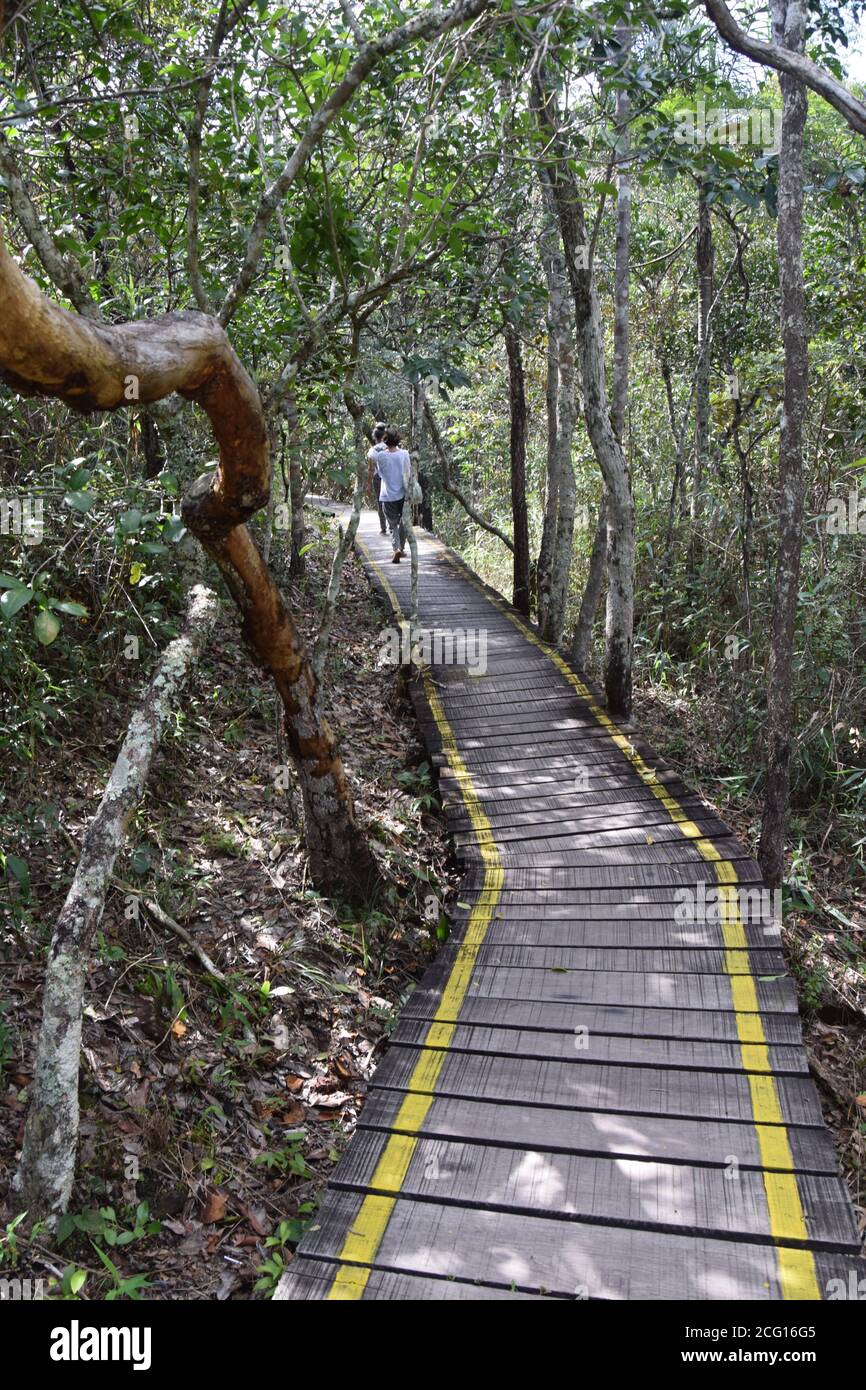 Suspended pathway hi-res stock photography and images - Alamy