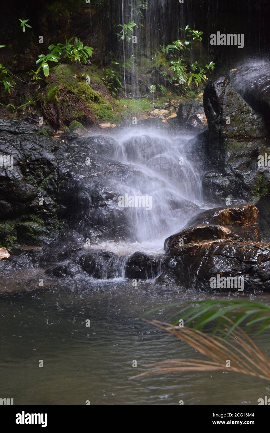 river stream unpolluted water Stock Photo - Alamy