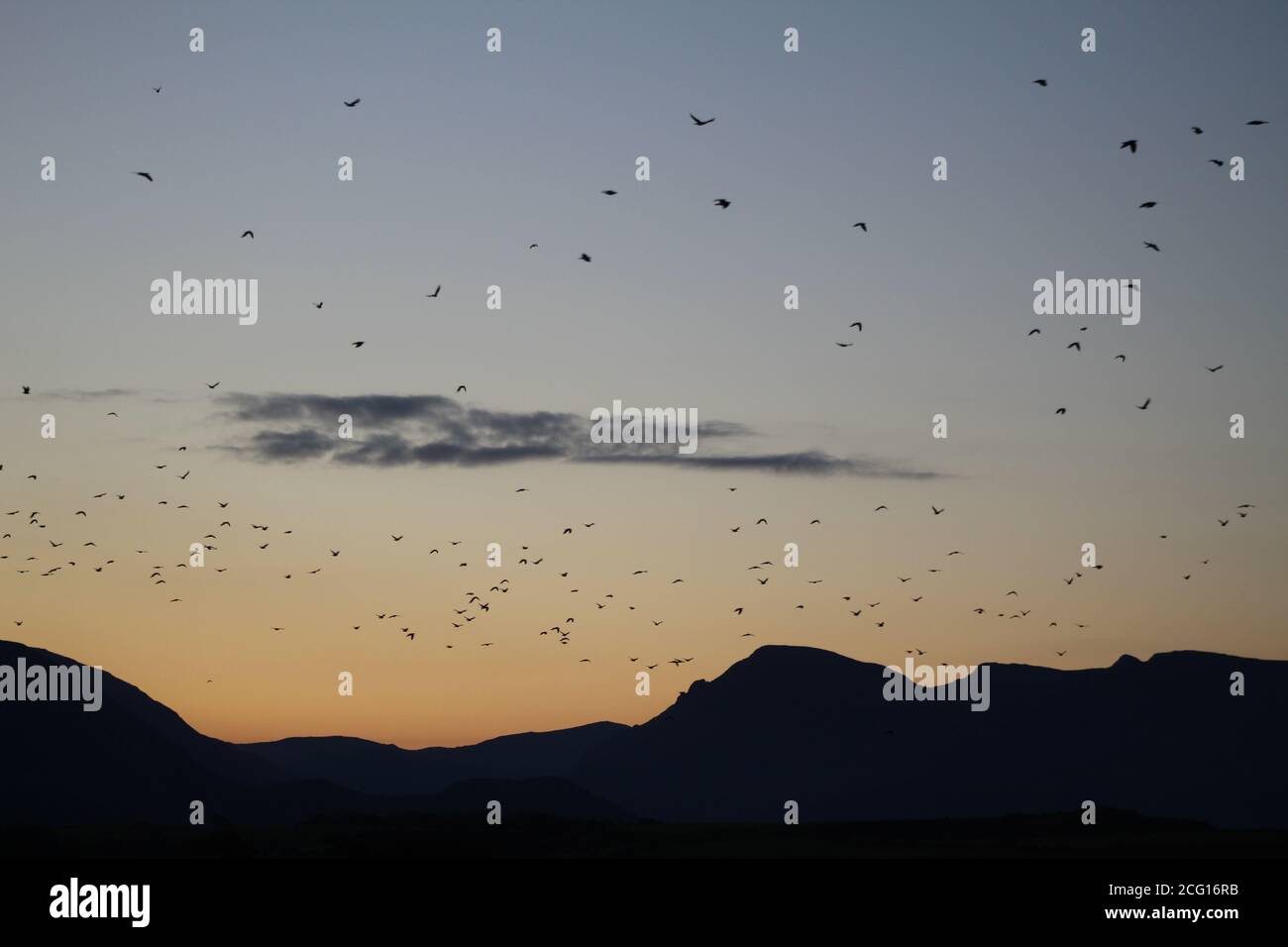 Sun shine in the morning hi-res stock photography and images - Alamy