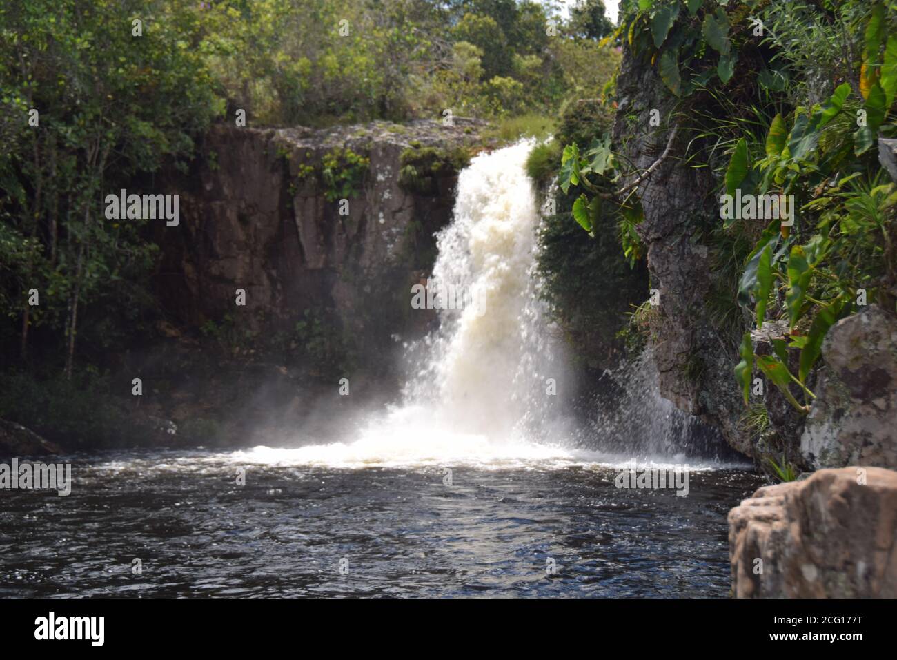 Cerrado ecosystem brazil river hi-res stock photography and images - Alamy