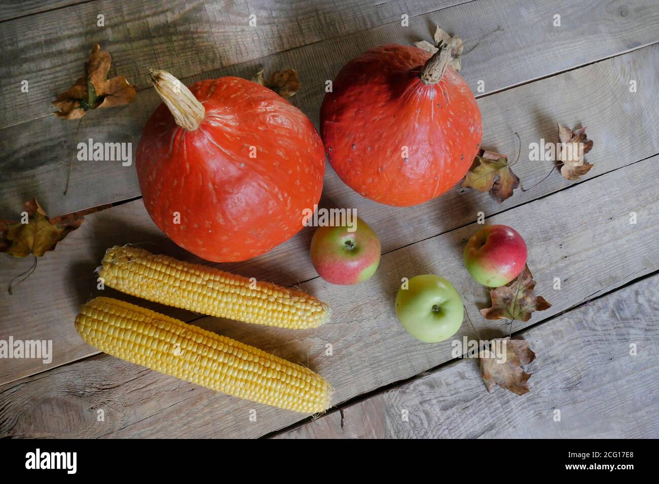 Homemade vegetables. Fresh organic vegetables. Vegetables from the ...