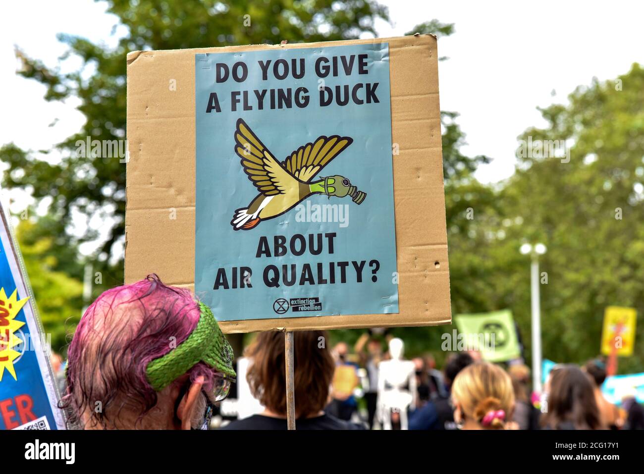 Giant duck fossil hi-res stock photography and images - Alamy
