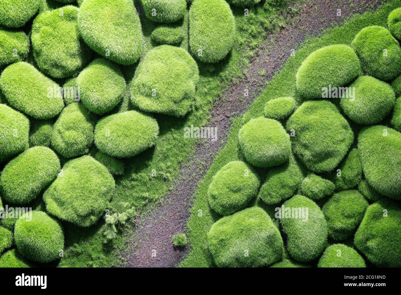 foot path through the garden in aerial view Stock Photo - Alamy
