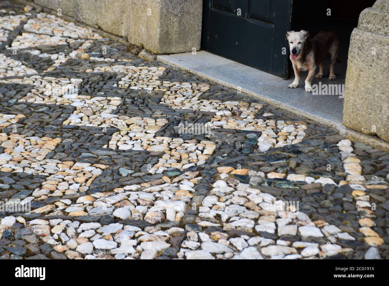 Canine porter hi-res stock photography and images - Alamy