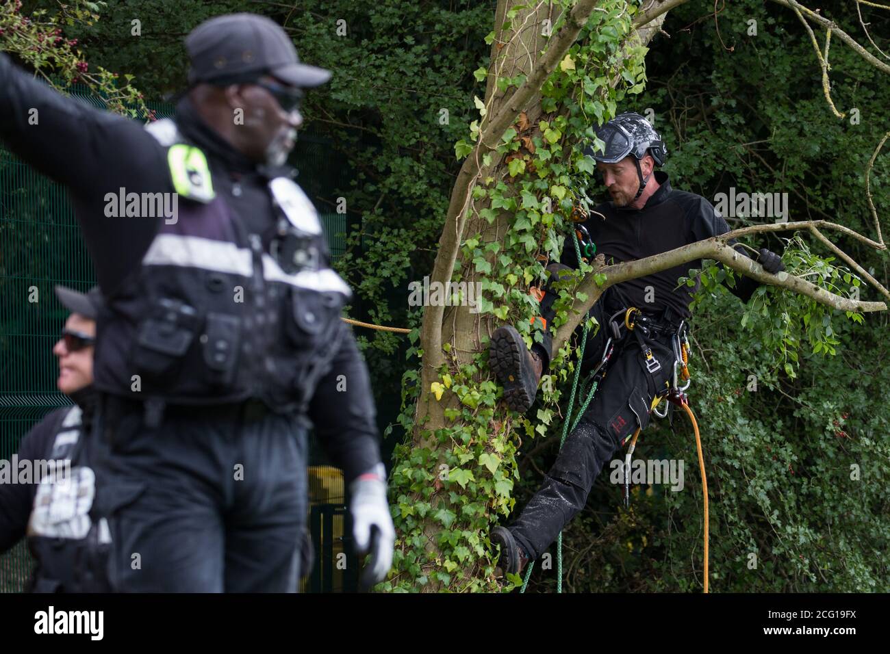 Tree surgery team hi-res stock photography and images - Alamy