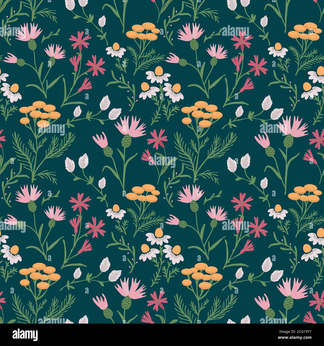 Seamless summer meadow decorative pattern Stock Vector Image & Art - Alamy