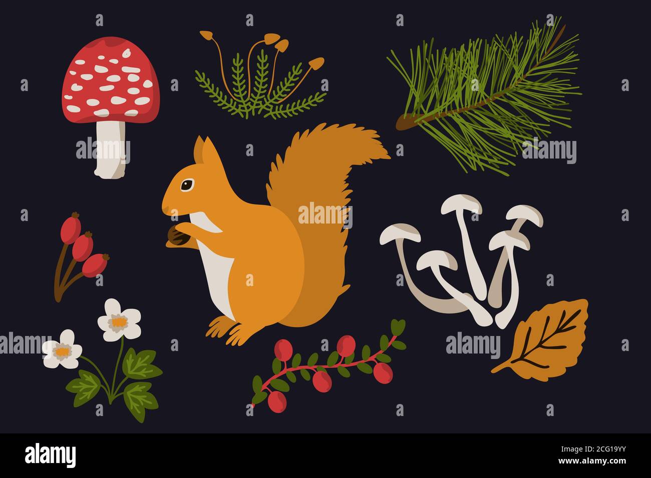 Red squirrel mushroom Stock Vector Images - Alamy