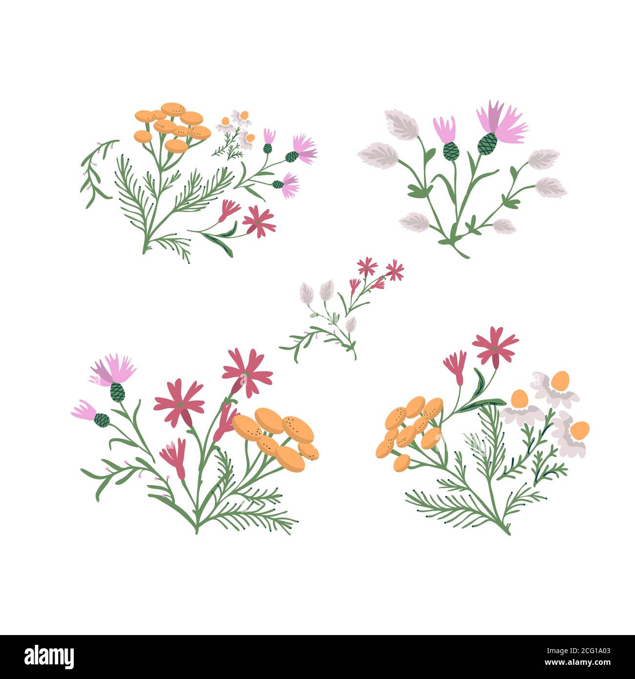 Decorative simple wild flowers collection Stock Vector Image & Art - Alamy Decorative simple wild flowers collection Stock Vector Image & Art - Alamy
