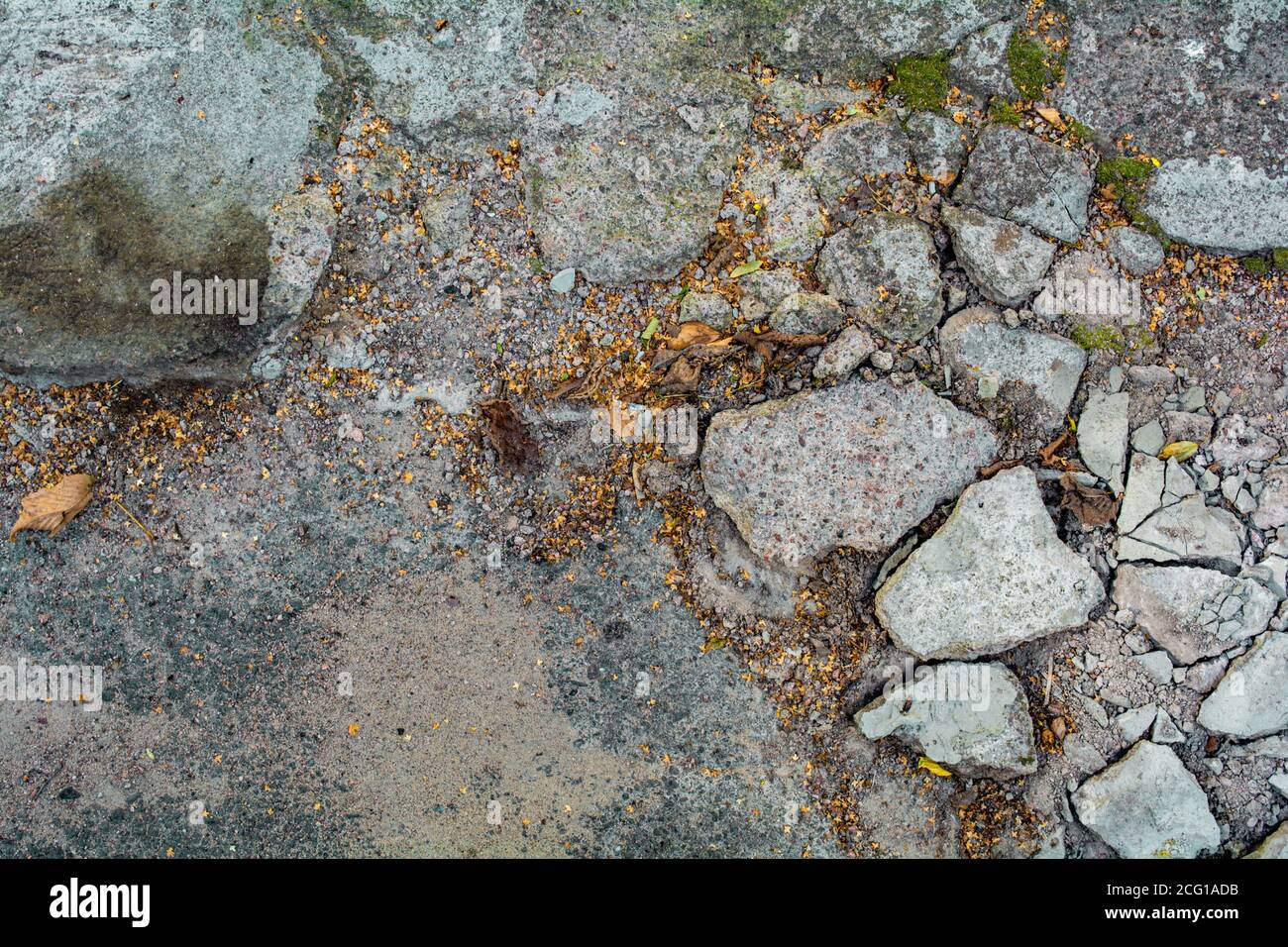Broken road asphalt with grass and fallen dry leaves. Large piles on ...