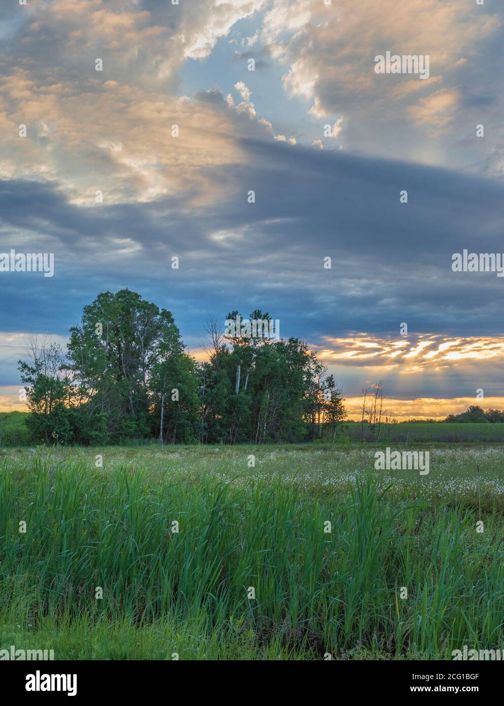Sunrise over a northern Wisconsin farm field Stock Photo - Alamy