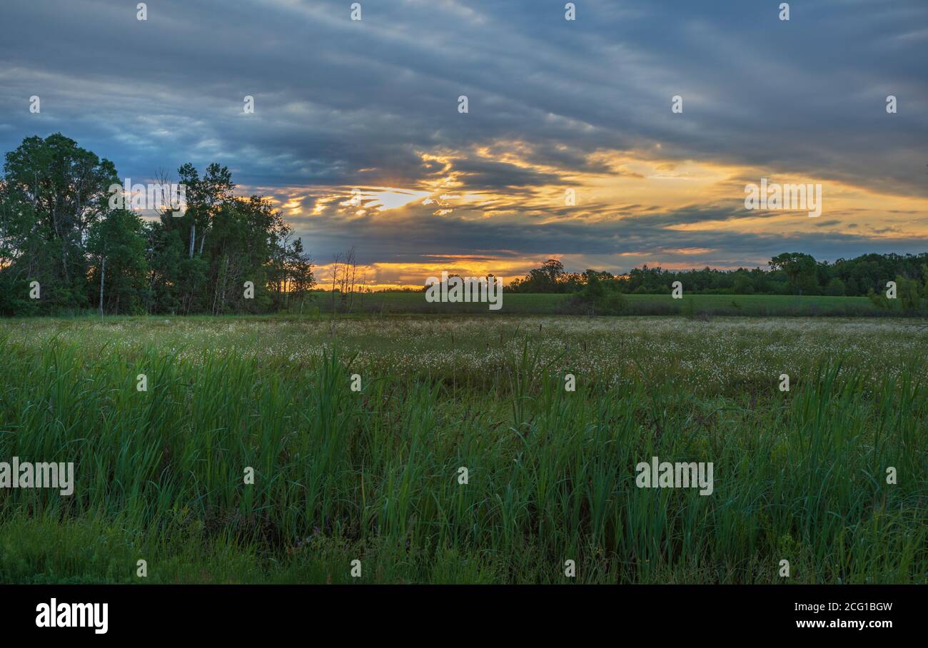 Sunrise over a northern Wisconsin farm field Stock Photo - Alamy