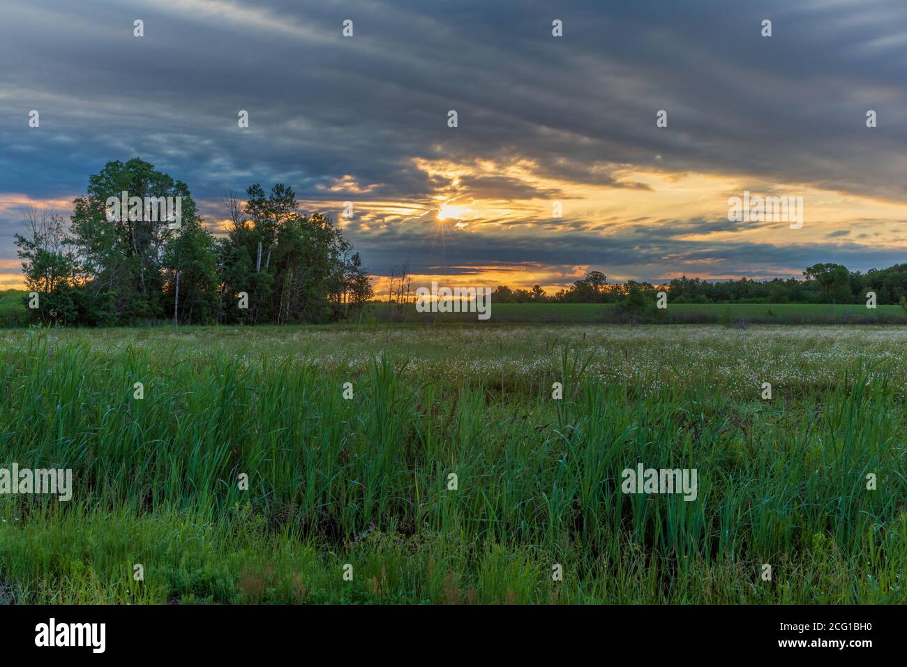 Sunrise over a northern Wisconsin farm field Stock Photo - Alamy