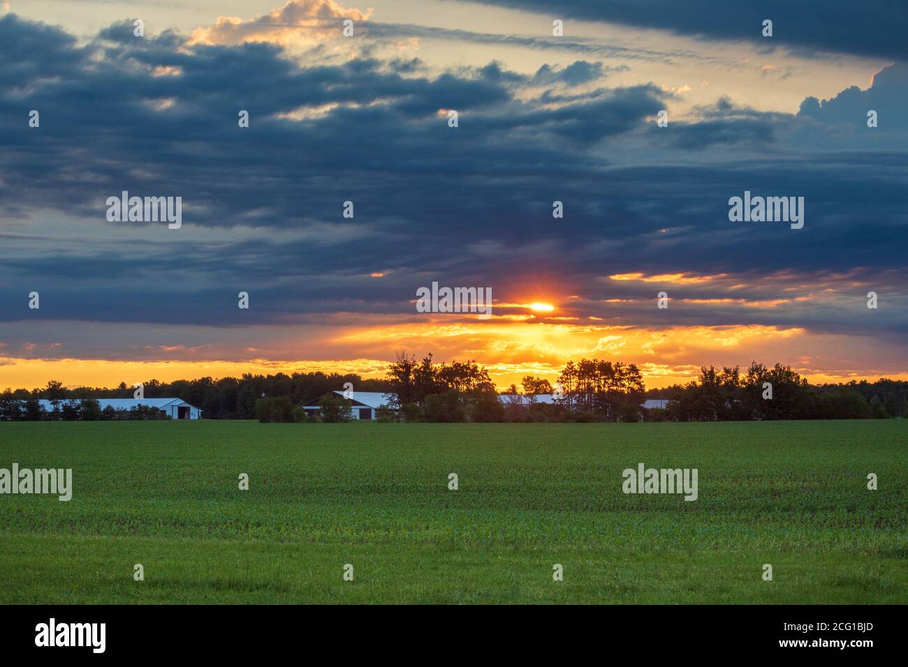 Sunrise over a farm in northern Wisconsin Stock Photo - Alamy