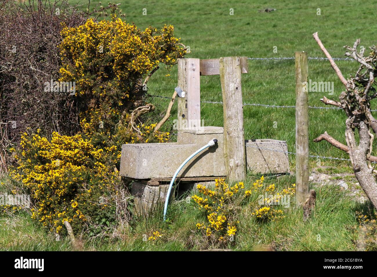 Farm water trough hi-res stock photography and images - Alamy