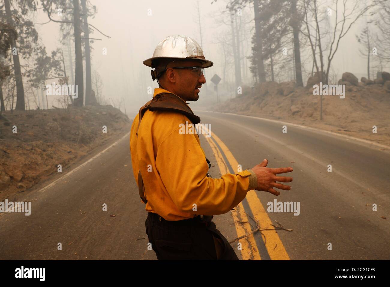 Timber faller hi-res stock photography and images - Alamy