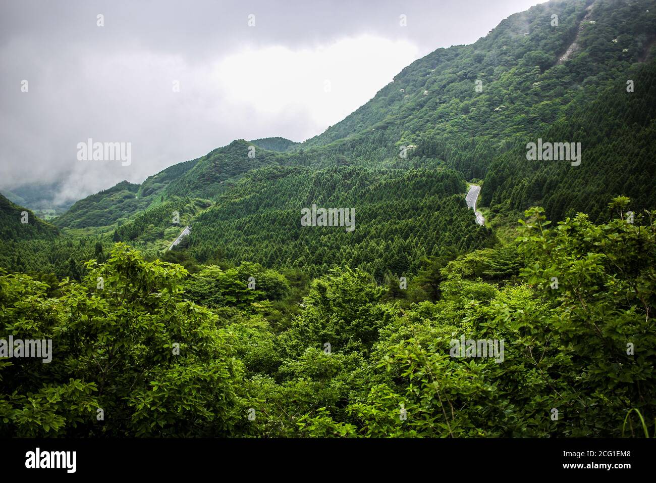 Black tarry roads cutting through green, mountainous country Stock ...