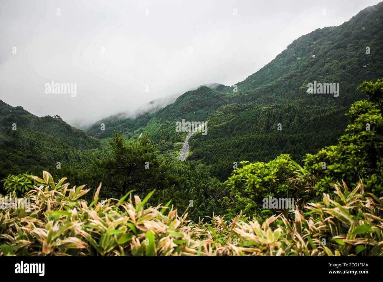 Road japan cliff hi-res stock photography and images - Alamy