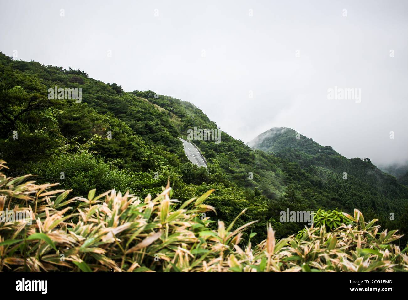 Black tarry roads cutting through green, mountainous country Stock ...