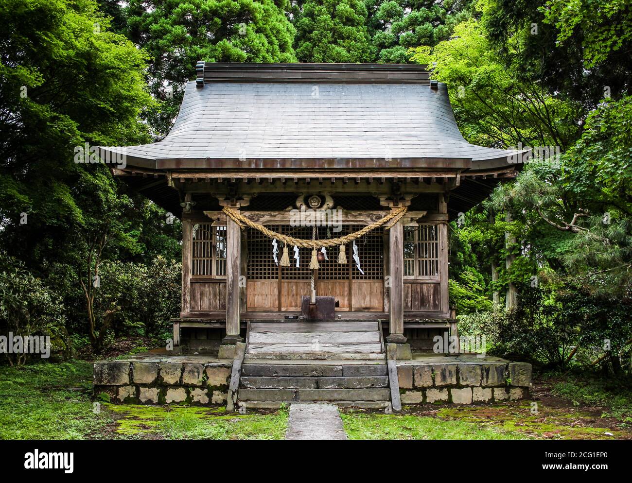 Shinto shrine surrounded by lush green trees Stock Photo - Alamy