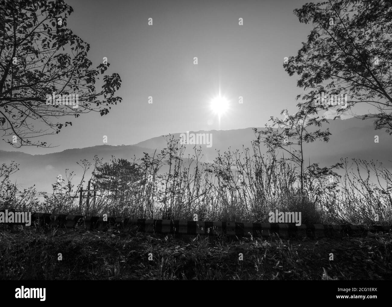 sun over mountain and trees Stock Photo - Alamy