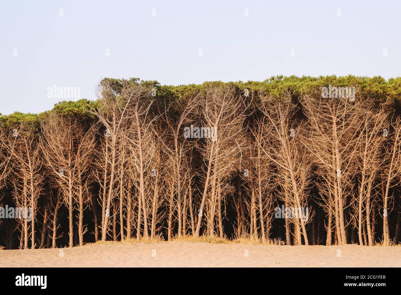 Riserva naturale sele tanagro hi-res stock photography and images - Alamy