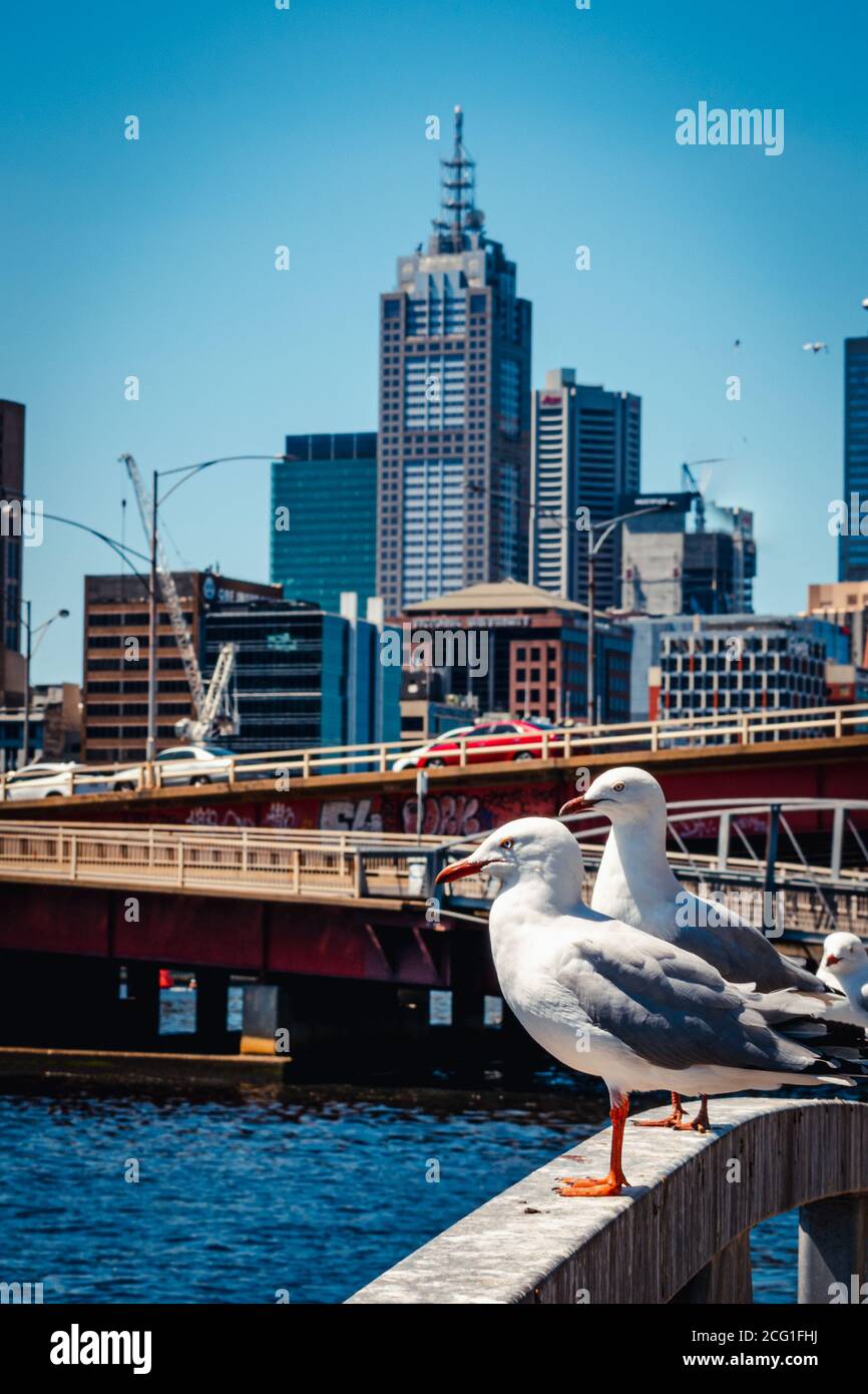 City of Melbourne Landscape, Australia Stock Photo - Alamy