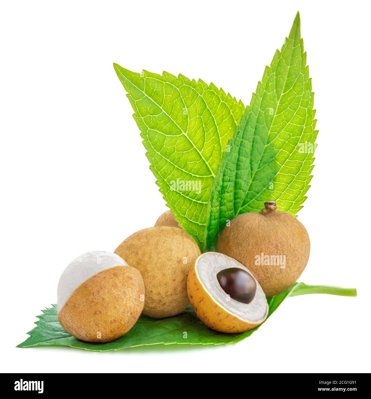 Longan fruit with leaves isolated on white background. Fresh Longan ...